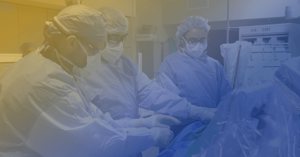 Training Course: Advanced Endovascular Management of AV Access, Palo ...